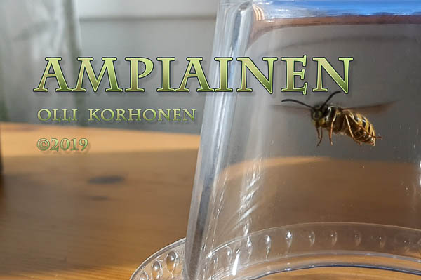 Olli Korhonen | Maaliskuinen ampiainen toi mieleeni ampiaisen, joka ...